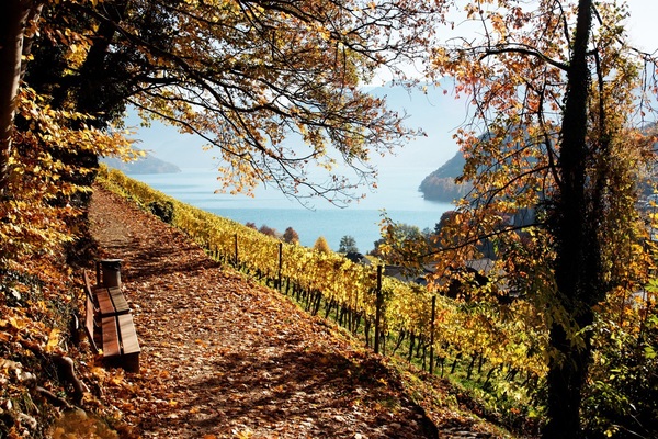 5 razones para viajar por Europa en otoño